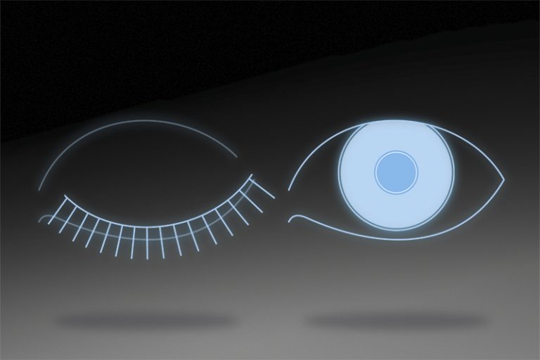 OCTOPUS 900® – Perímetro – Haag Streit Diagnostics – Amv Tecnologia C.A.